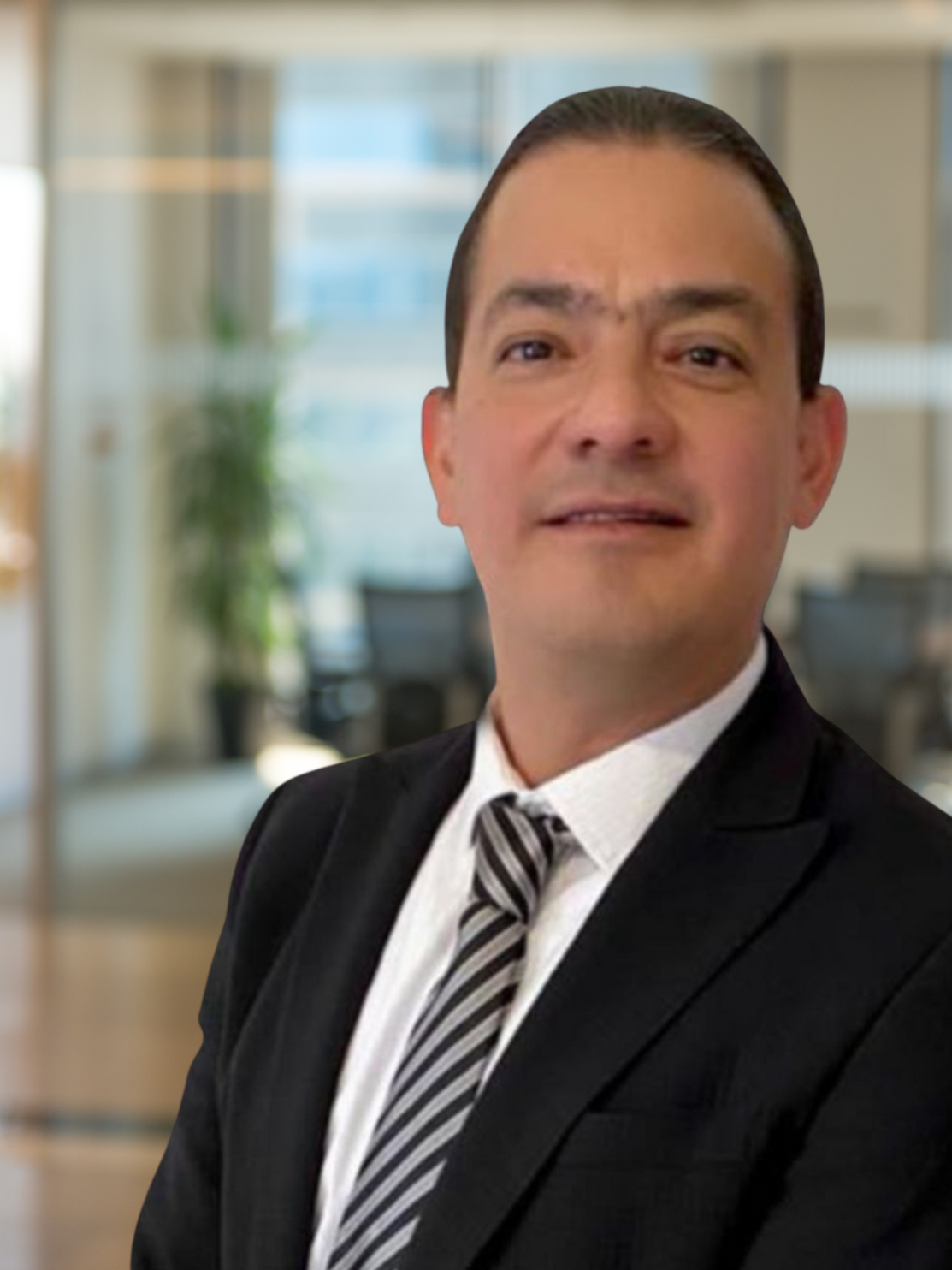 Consejo Directivo – Asonoc